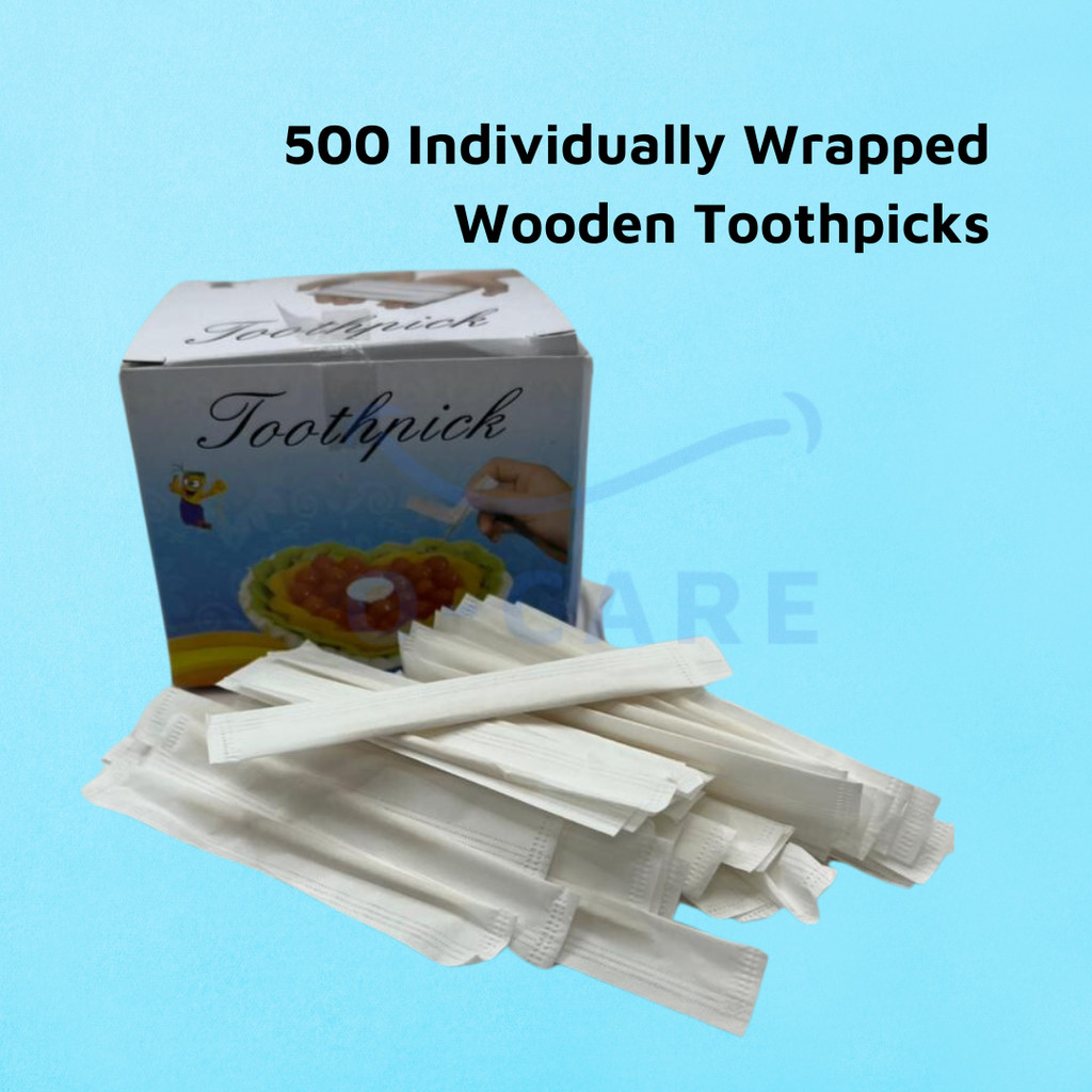 500pcs Bamboo Toothpicks with Individually Wrapped for Appetizers Party ...