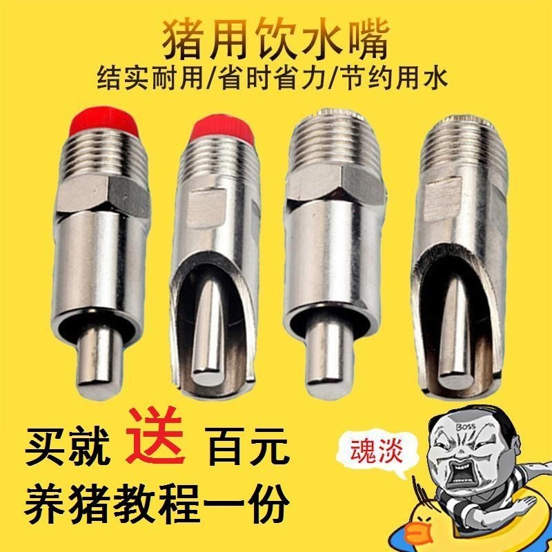 10Pig Water Dispenser Thick Stainless Steel Pig Drinking Spout Pig ...