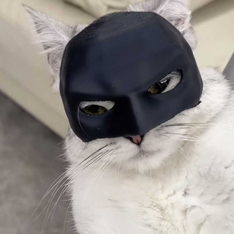 Ins Popular Batman Cat Mask Creative 3d Printing Pet Toy ns Collision ...