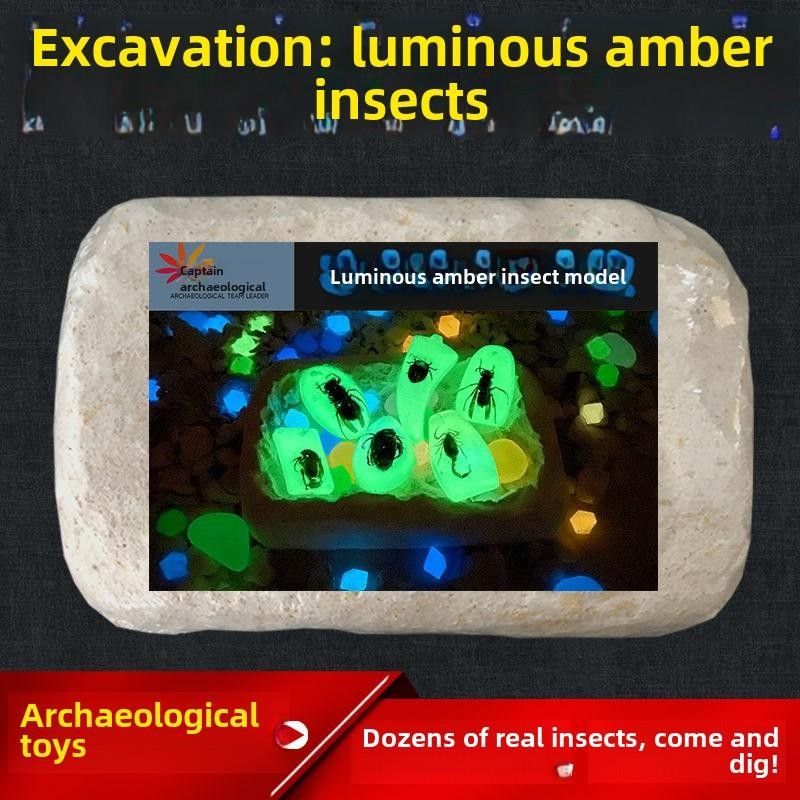 Children's Archaeology Mining Toys Luminous Amber Gem Dinosaur Fossil Internet Celebrity Blind ...