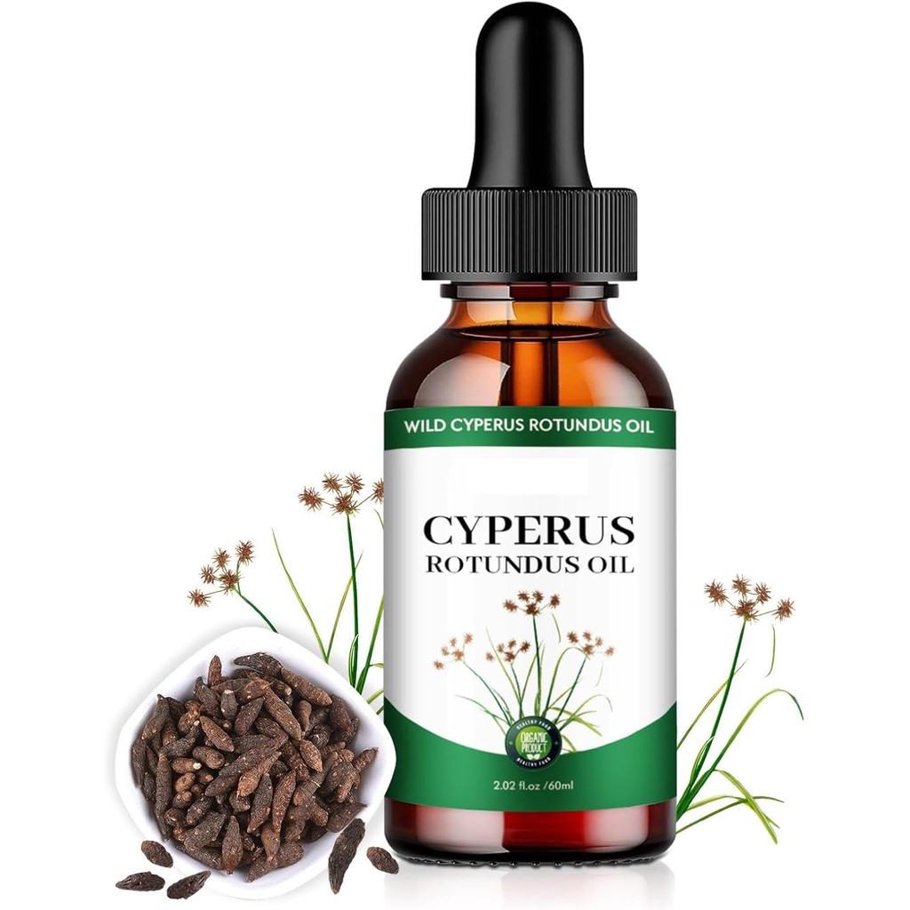 Cyperus Rotundus Oil - Cyprus Oil Natural Nut Grassoil for Reducing ...