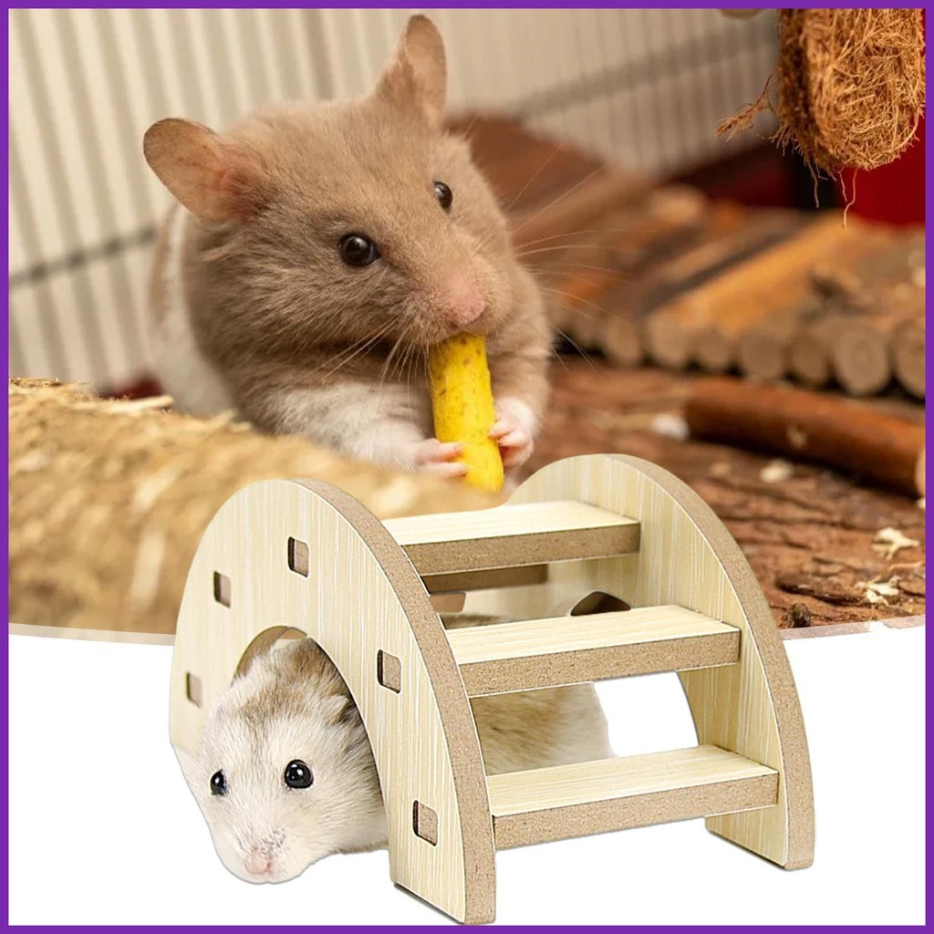 Hamster Bridge Wooden Bridge Toy For Cage Habitat Safe And Fun Animal ...