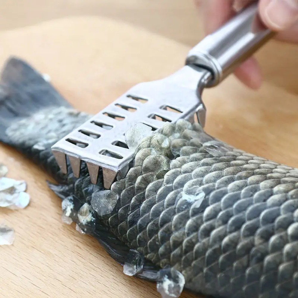Stainless Steel Fish Scale Cleaner Remover Scaler Descaler Home ...