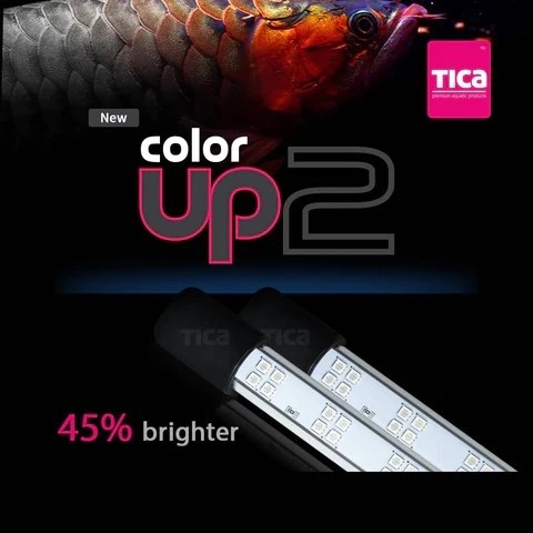 TICA LED COLOR UP, COLOR Up2 , Aro-10, Aro-10 DEEP GOLD = 52CM, 88CM, 112CM | Shopee Malaysia