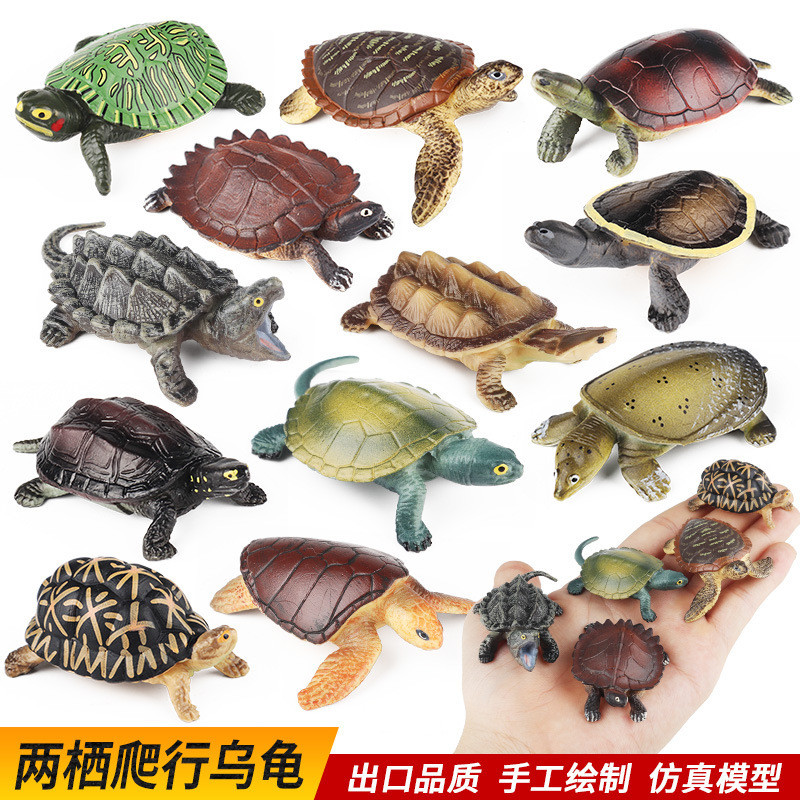 [1968 People Collection] Children's Cognitive Simulation Amphibious Reptile Turtle Ornaments ...