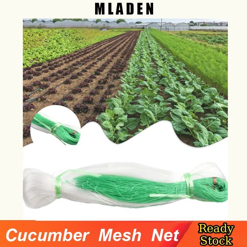 2M X 100M Cucumber Net Netting Jaring Timun Plant Support Gardening Plant Climbing Net Growth of ...
