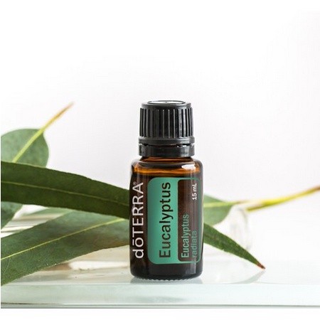 doTerras doTerra EUCALYPTUS RADIATA 15ML Essential Oil (100% Original ...