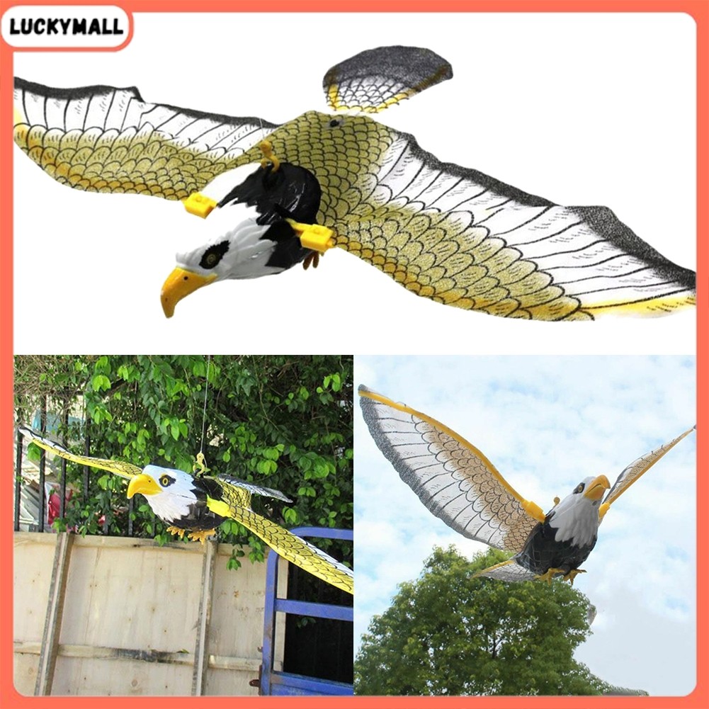 [KUM] Flying Bird Hawk Scarer Deterrent Repellent Hunting Garden Decoy ...
