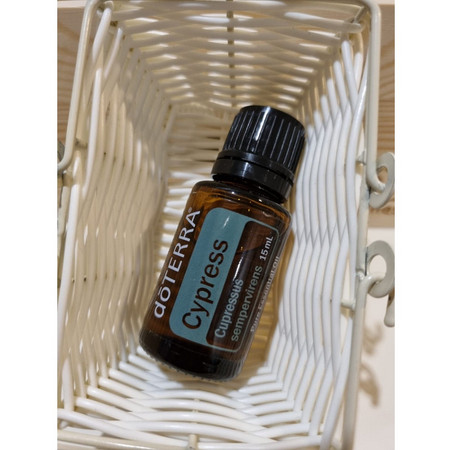 (Ready stock) doterra Cypress ESSENTIAL OIL 15ml 100% ORIGINAL | Shopee ...