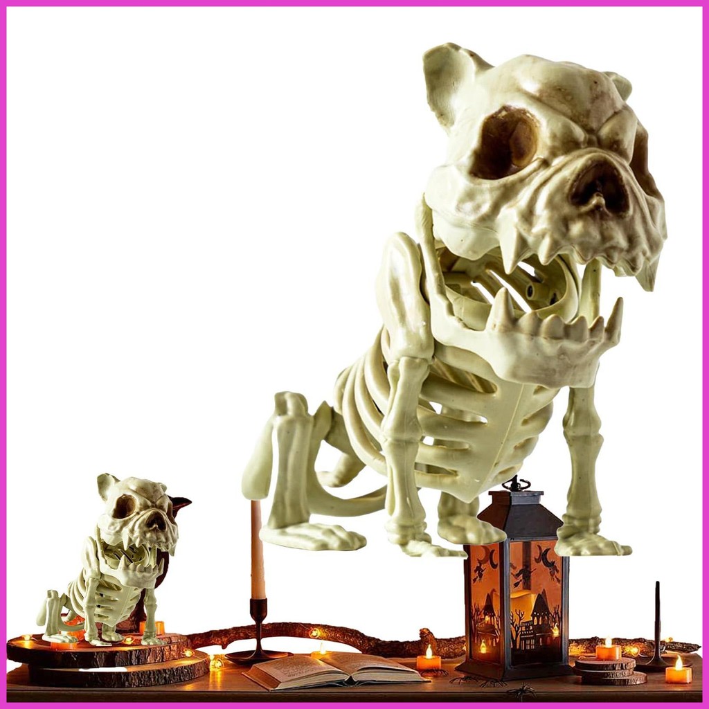 Skeleton Dog Scary Halloween Dark Horror Animal Skeletons Halloween Dog ...