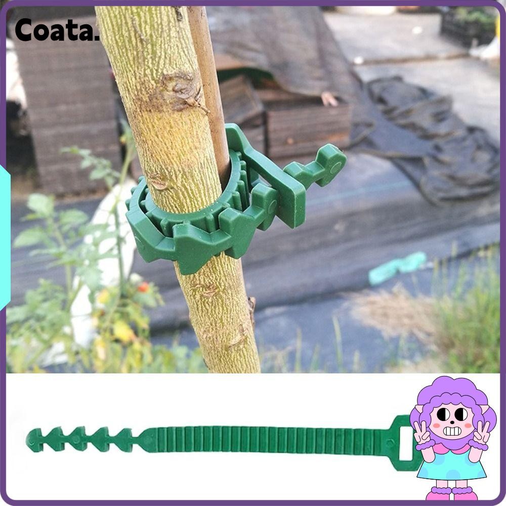 COATA Tree Ties Straps, Reusable Garden Supplies Binding Straps ...