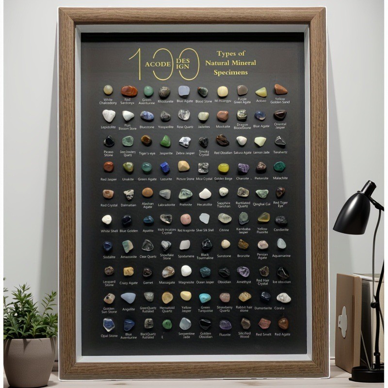 100 Kinds of Natural Rough Stone Ore Specimens Photo Frame Box Children ...