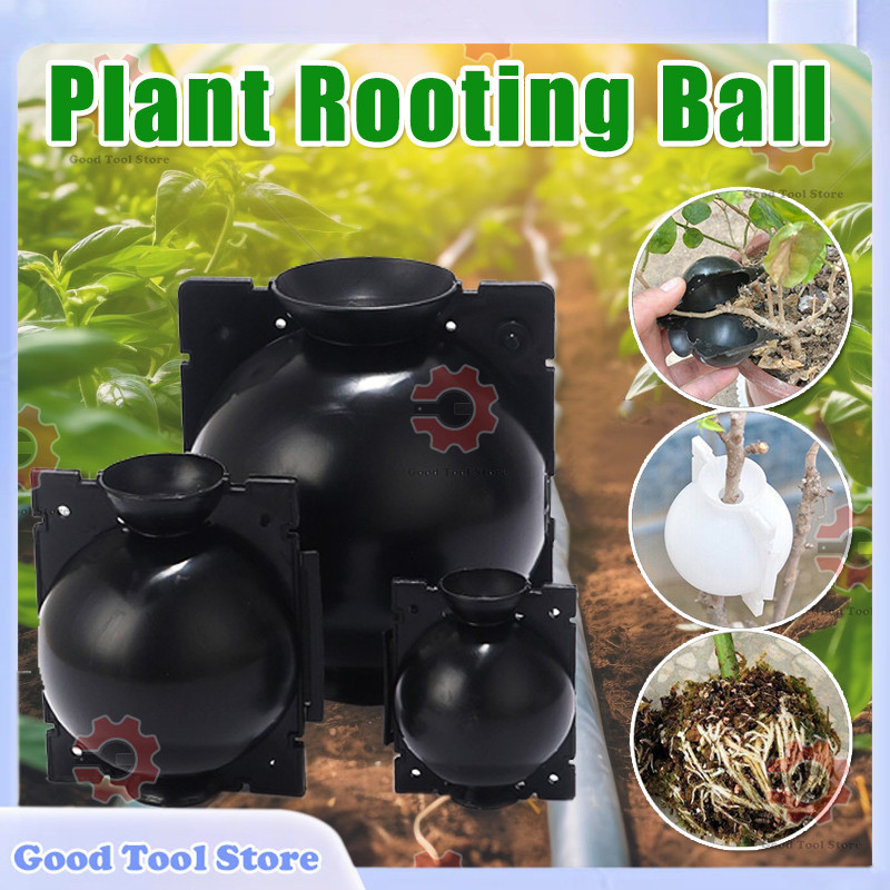 Air Layering High Pressure Plant Rooting Ball Garden Fruit Tree ...