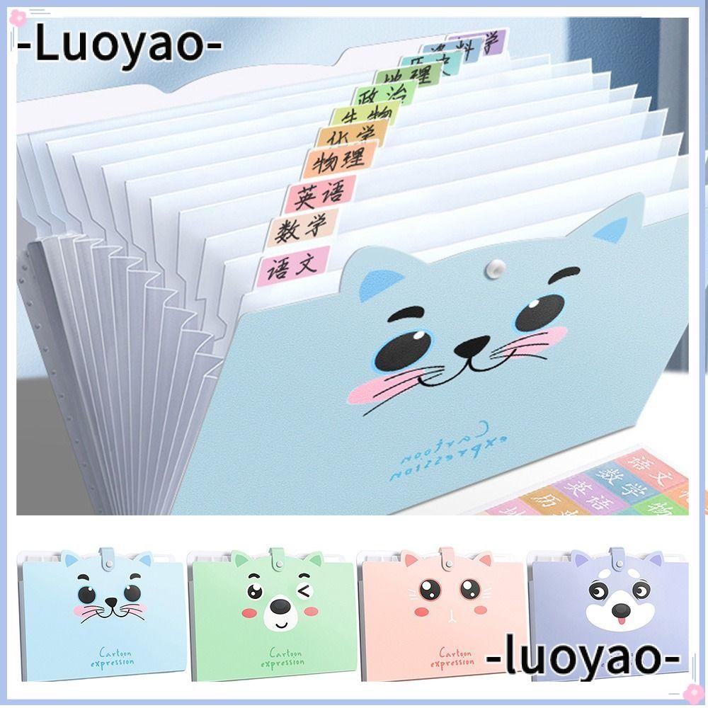 LUOYAO1 A4 File Folder, Waterproof Classified Test Paper Storage Folder ...