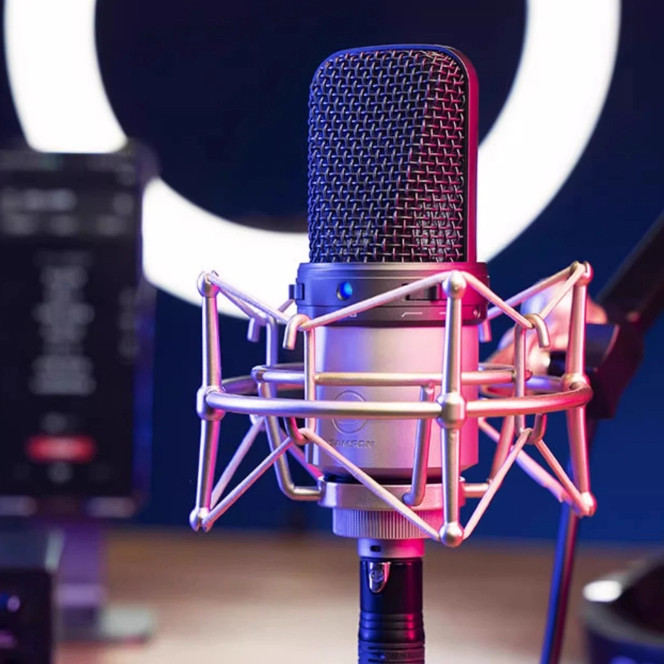 Samson GT3 condenser microphone professional recording condenser ...