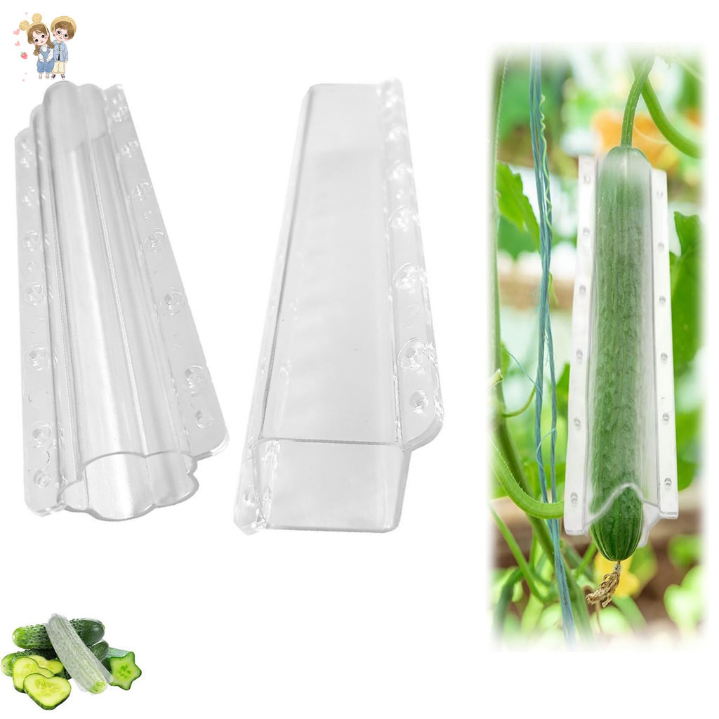 Cucumber Molds for Garden,Cucumber Styling Growth Mold for Fruit ...