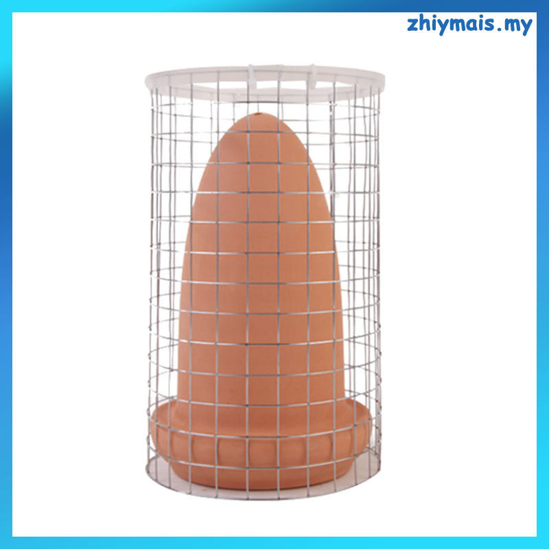 Spawning Breed Cone Aquarium Breeding Discus Fish for Bucket Animals ...