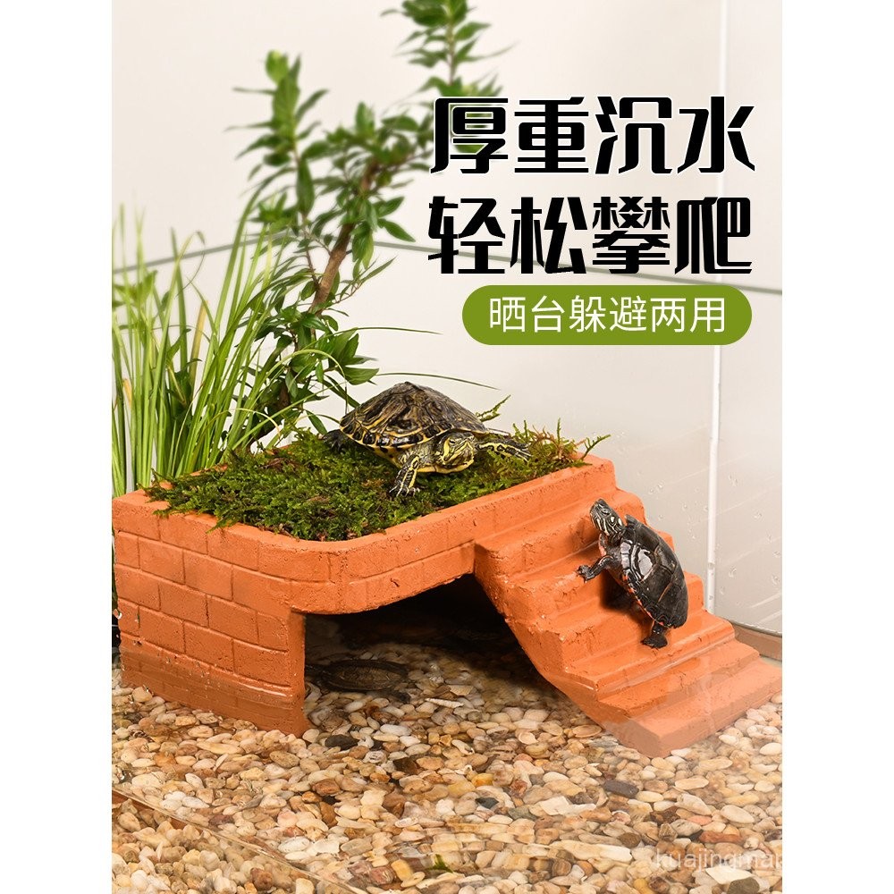 Turtle Sunning Platform Climbing Platform Clay Hideout Brazil Grass ...