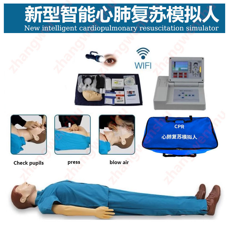 Half Body ADULT CPR Manikin AED First Aid Training Dummy Training Model ...