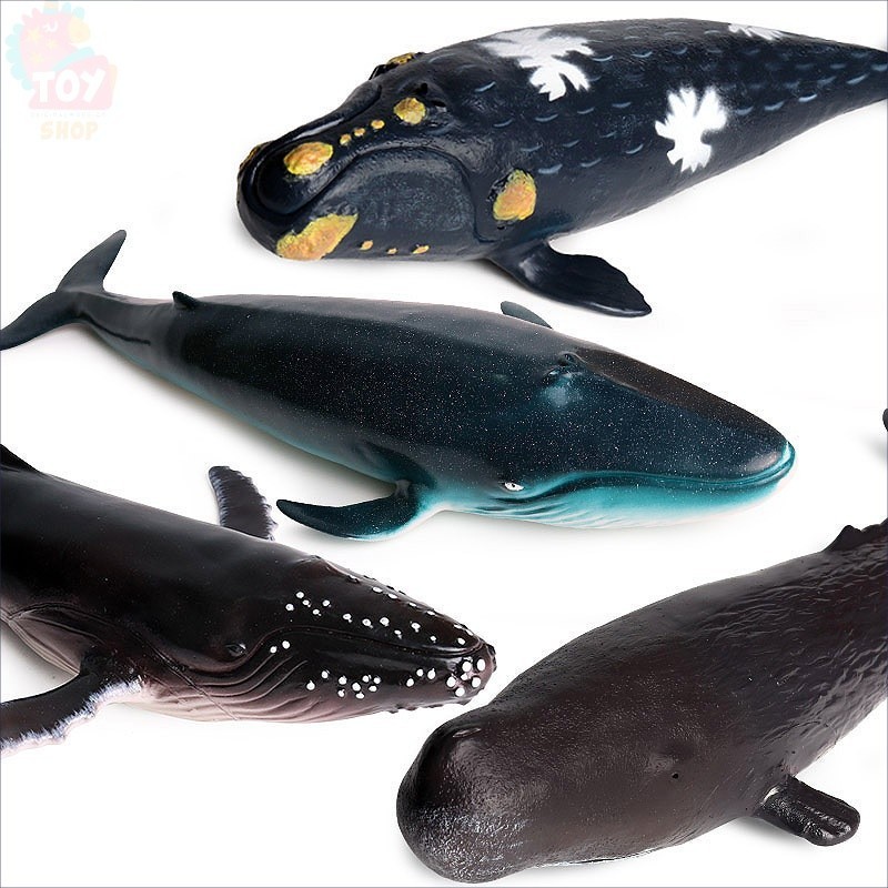 Children's Scientific and Educational Toy Simulated Marine Animal Model ...