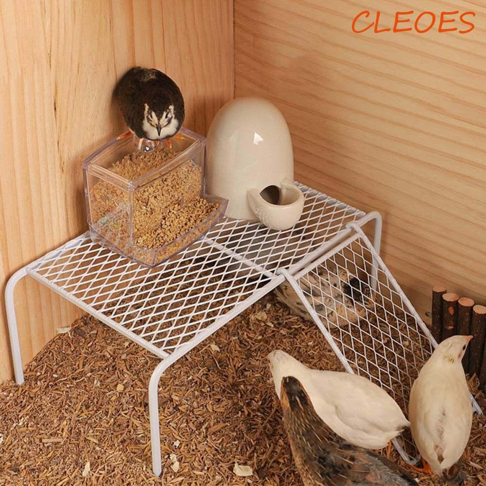 CLEOES Rutin Chicken Landscaping Platforms Ladder Landscaping Climbing ...