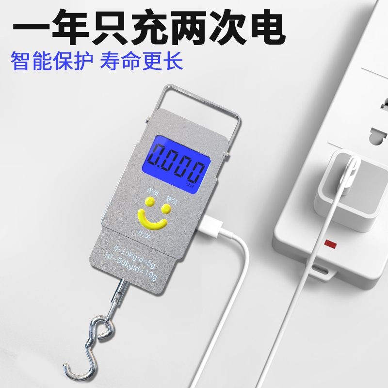 Portable Scale Hanging Scale Can Weigh 100 Small Electronic Scale ...