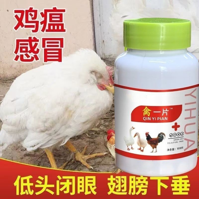 Bird One Piece Improves Swollen Head Swollen Face Chicken Duck Goose ...