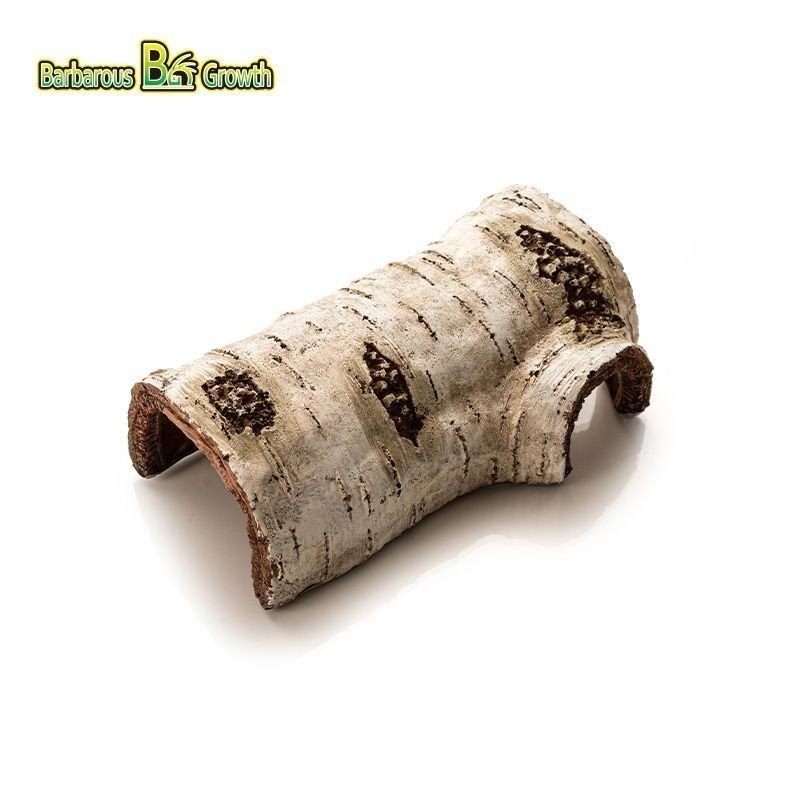 Kotak Pembiakan Landskap Reptilia untuk Naga Berjanggut, Cicak, Labah ...