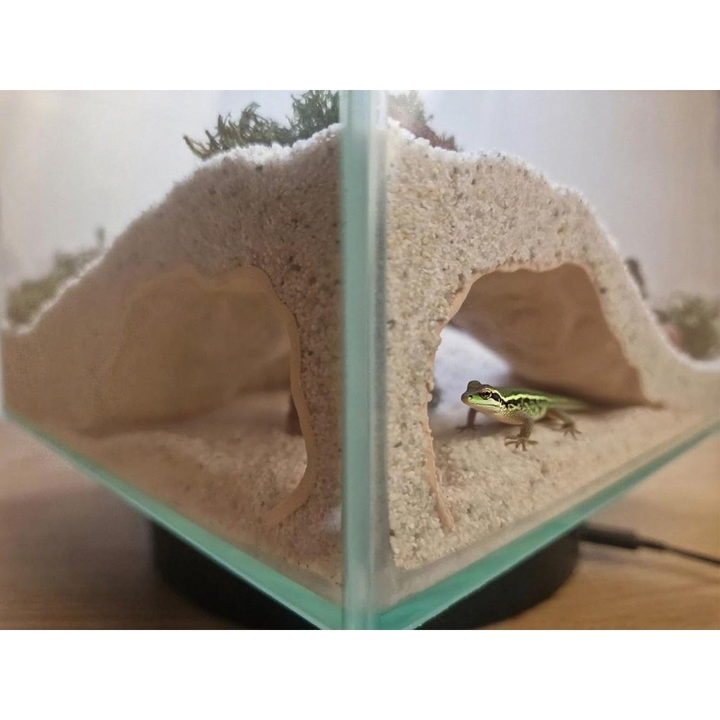 Tempat Persembunyian Reptilia Sudut, Aksesori Tangki Naga Berjanggut ...