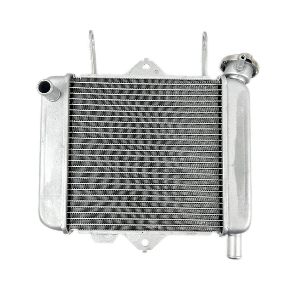 RAIDER 150 FI COOLANT NET RADIATOR RAIDER 150 FI Water tank assembly ...