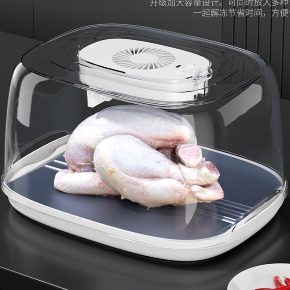 Electric Defroster Box Meat Defroster Machine Rechargeable Quick UV ...