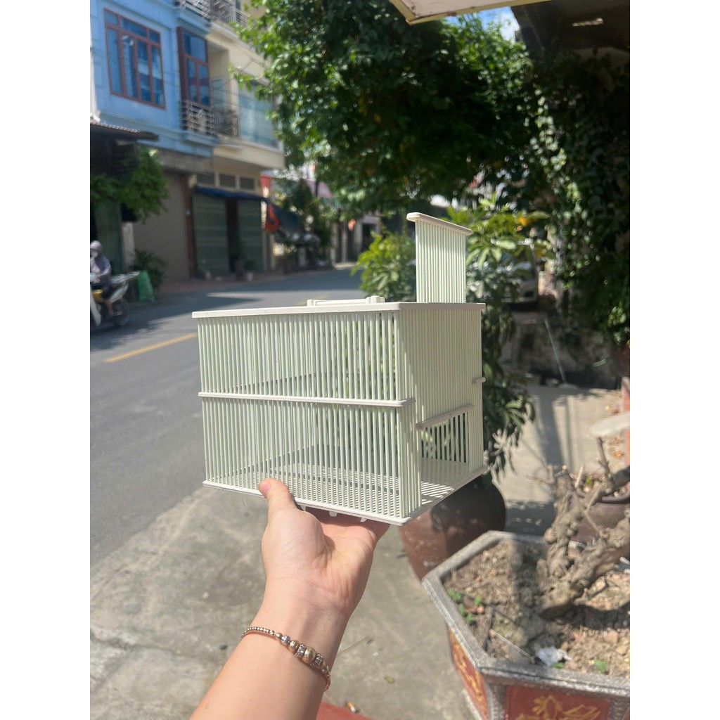 Plastic locust box - beautiful cricket box (15x16x20cm) | Shopee Malaysia