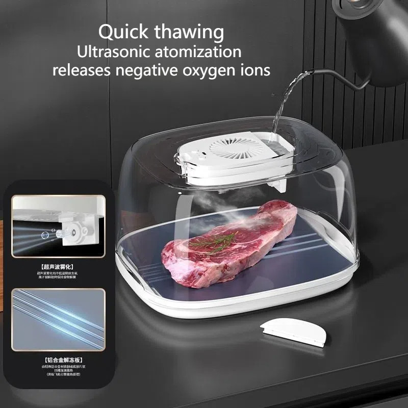 Local delivery Upgraded Meat Defrosting Machine Meat Defroster- Tray ...