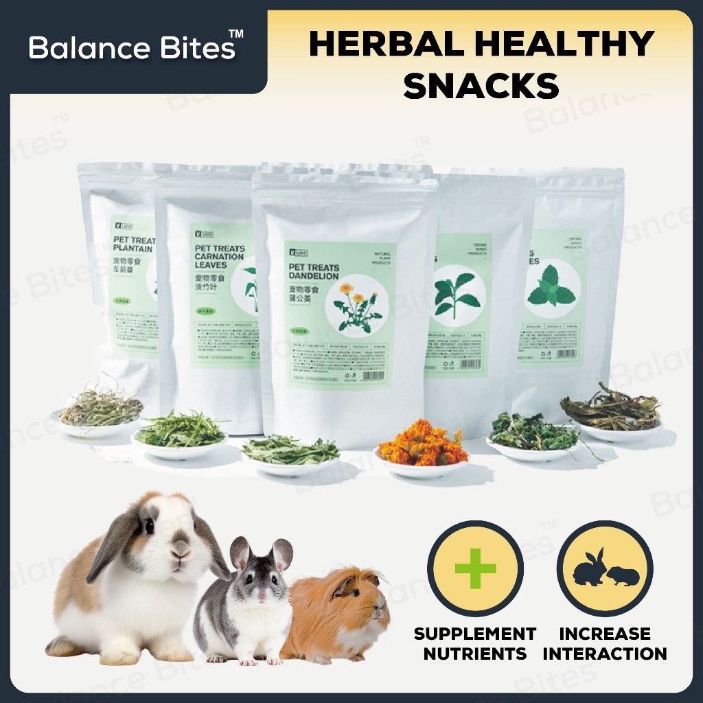Balance Bites Yee Supplement Herbal Healthy Snacks Rabbit Guinea Pig ...