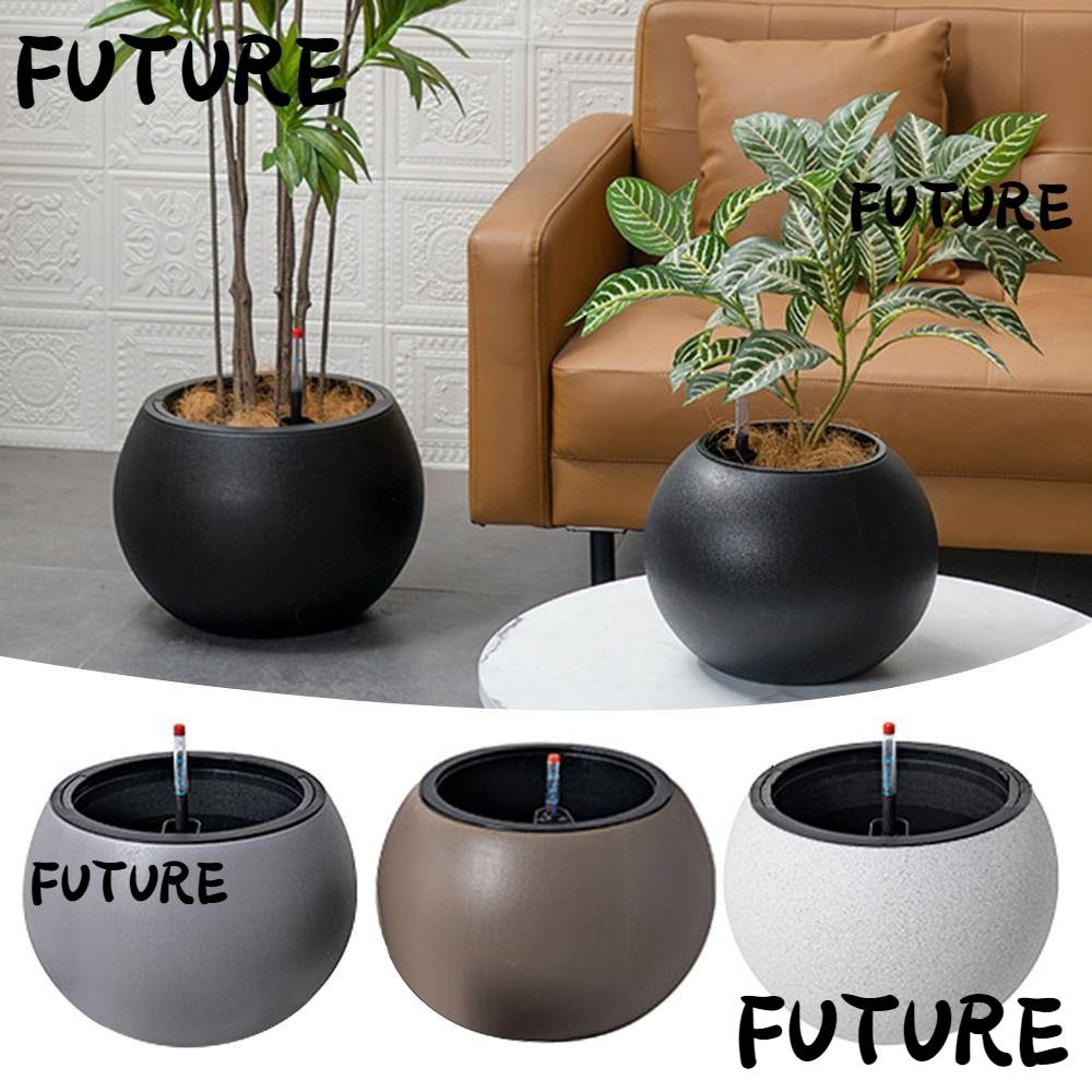 HL-FUTU Automatic Watering Flower Pot, Transparent Spherical Hydroponic ...