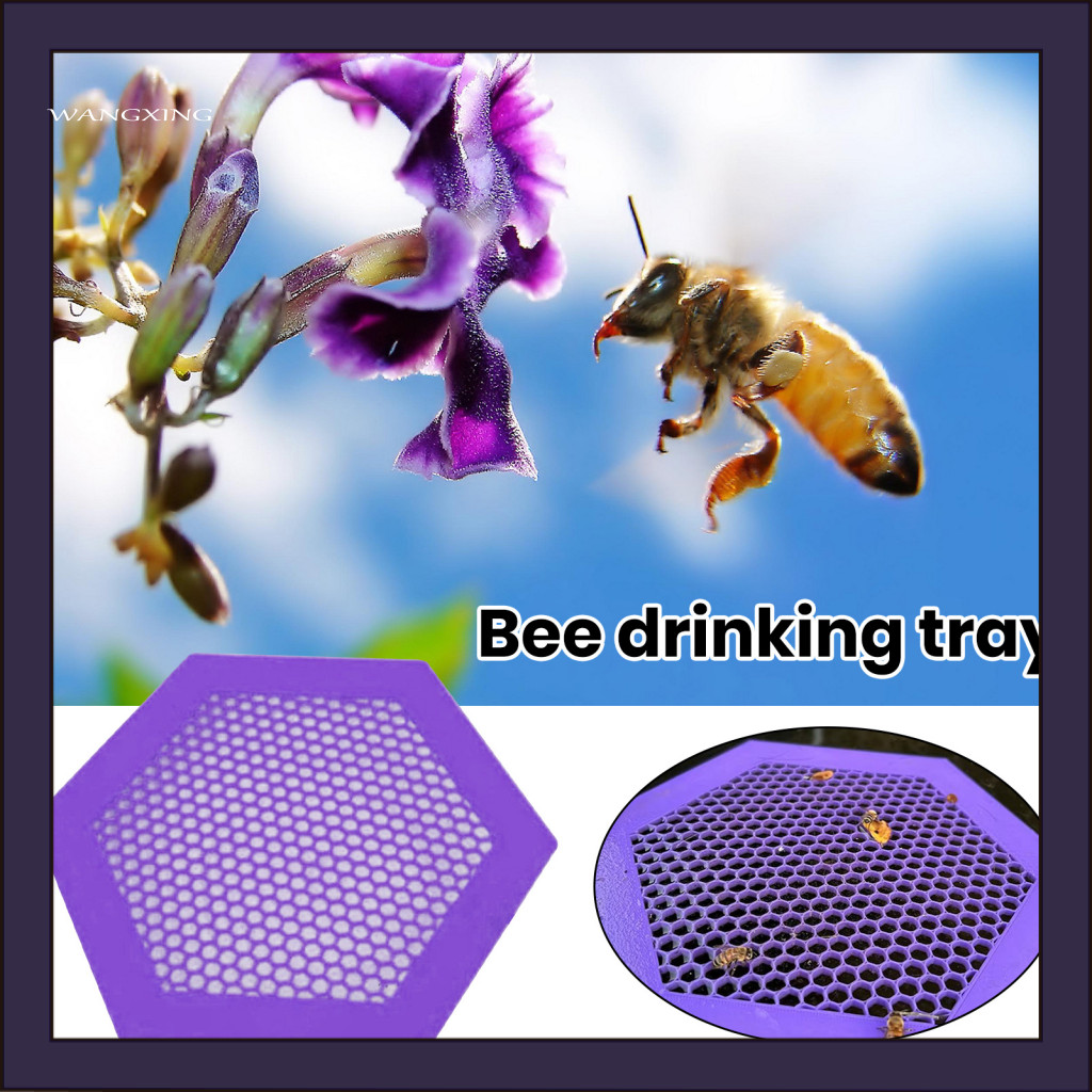 [WX] Garden Bee Attractor Bee Drinking Tray Bee Water Feeder Tray Keep ...