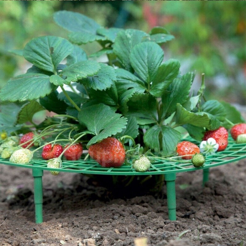 Strawberry Stand Garden Planting Rack Balcony Vegetable Rack Plant ...
