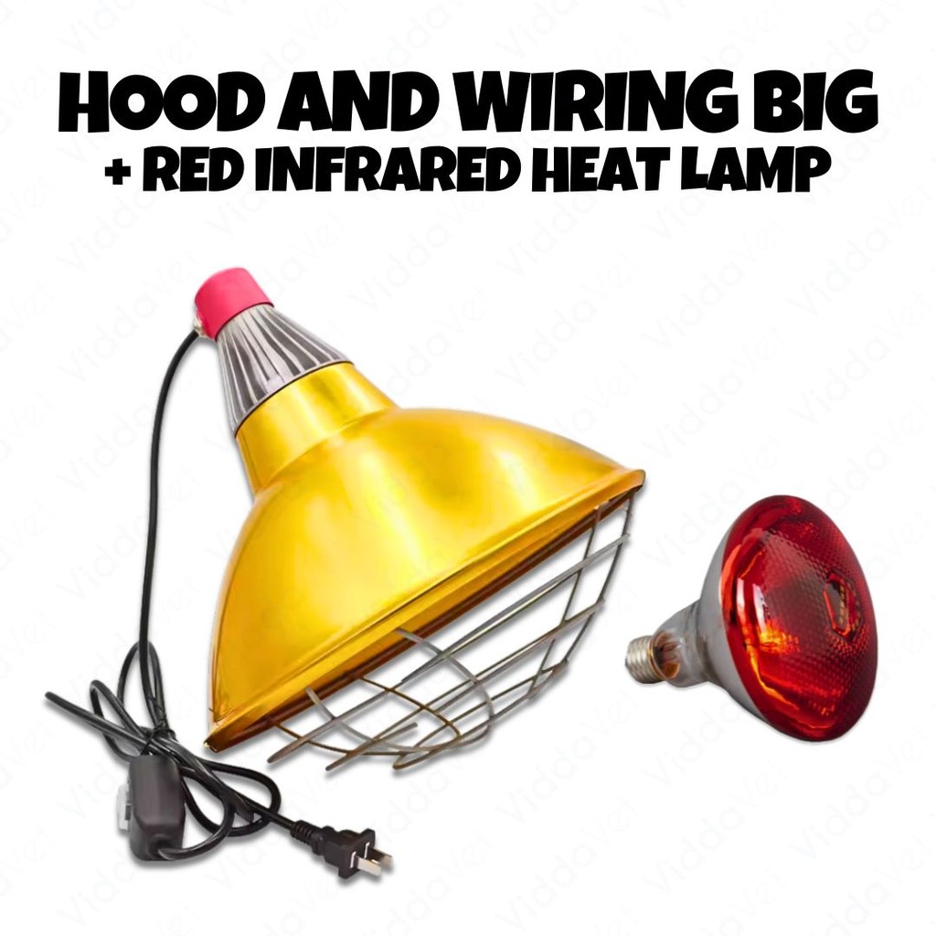 Hood and Wiring Big with Red Infrared Lamp Safe Heat for Brooding and ...