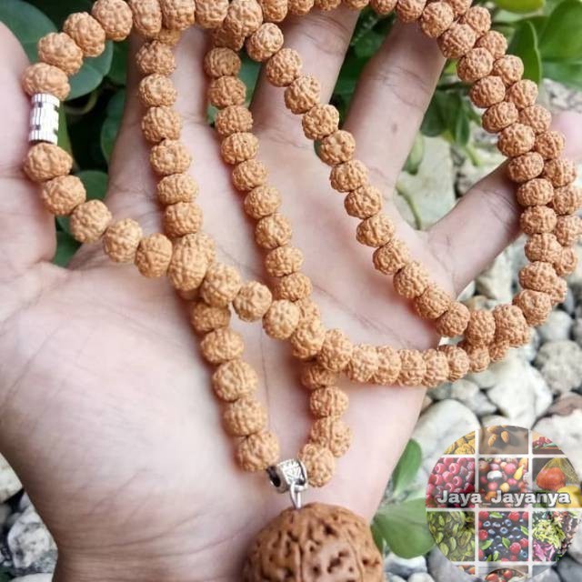 Rudraksha JENITRI NECKLACE LARGE JENITRI PENDANT Jaya_Jayanya | Shopee ...