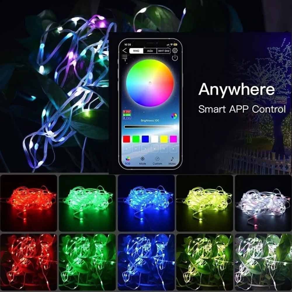 10 meter 100 light RGB point control iridescent leather wire light ...