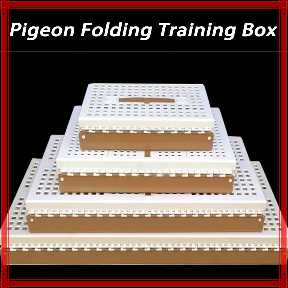 Pigeon Folding Training Box Plastic Cage Large XL Large Pigeon T-box ...