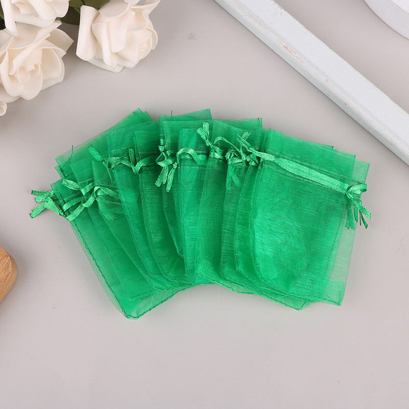 [Isn] 20Pcs Mesh Fruit Bag Strawberry Grapes Fruit Grow Bags Breathable ...