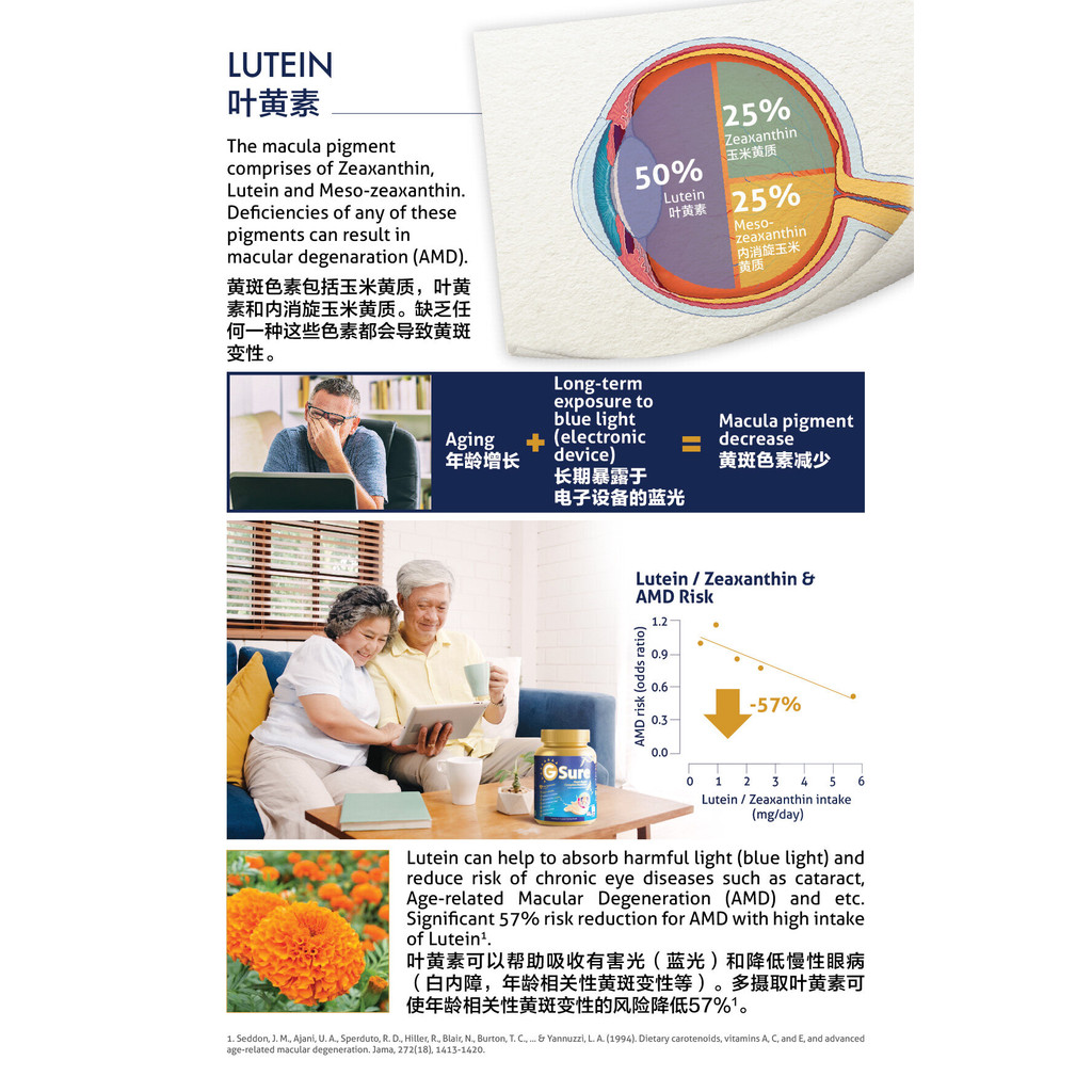 [New Formula] Good Morning Gsure Plant-Based Protein 850g | Complete ...