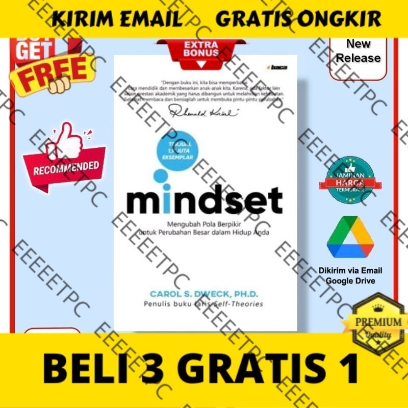 Mindset: Changing Thinking Patterns For Big Changes In Life - CAROL S ...