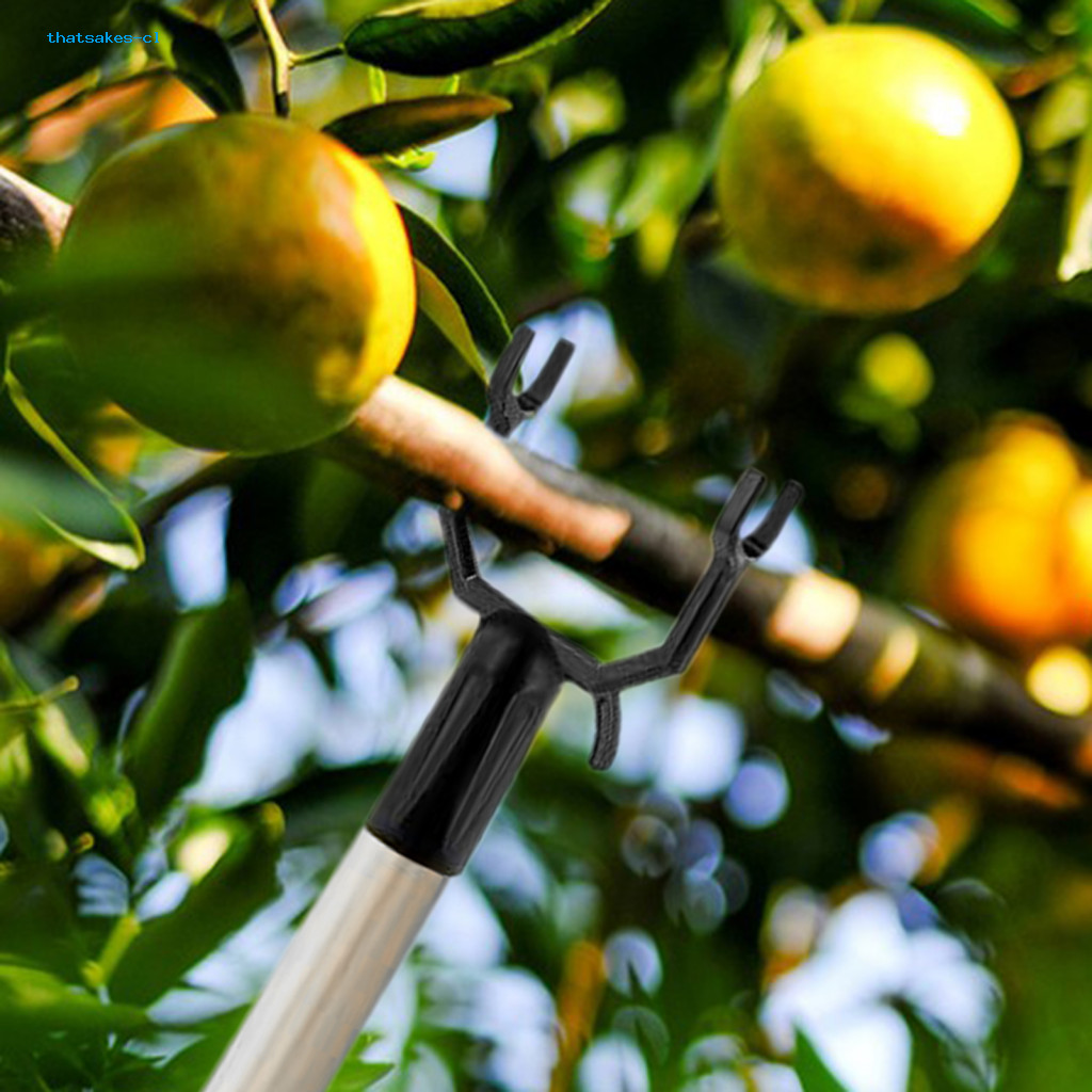 thatsakes Tree Stand for Branches Adjustable Branch Support 8 Pcs Metal ...