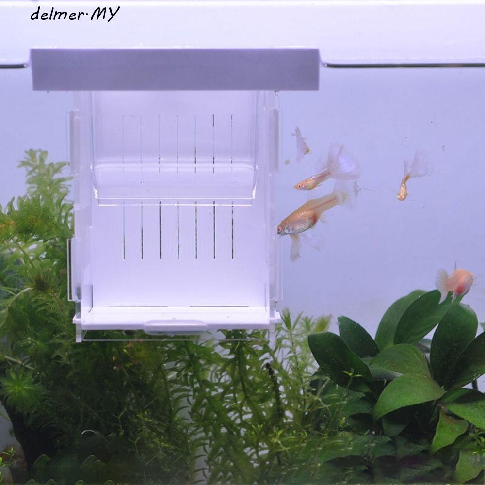 DELMER Fish Isolation Box, Acrylic Transparent Floating Hatching Box ...