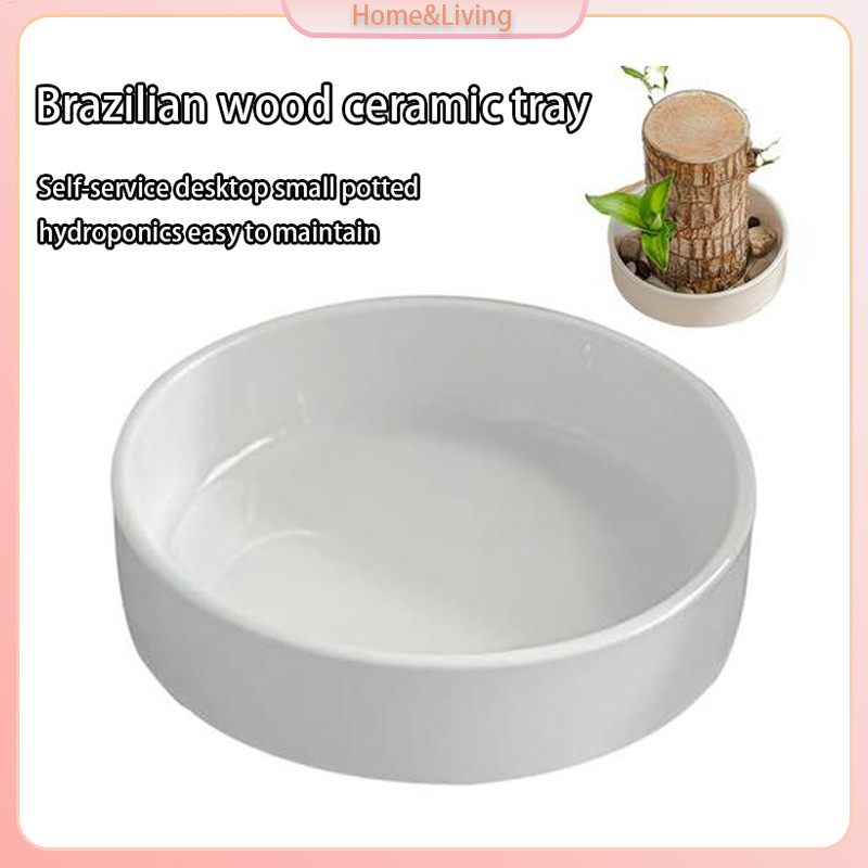 BRAZILIAN WOOD PLATE SMALL PLANT PIRES DECORATIVE PIRES FOR ROOM BOARD ...
