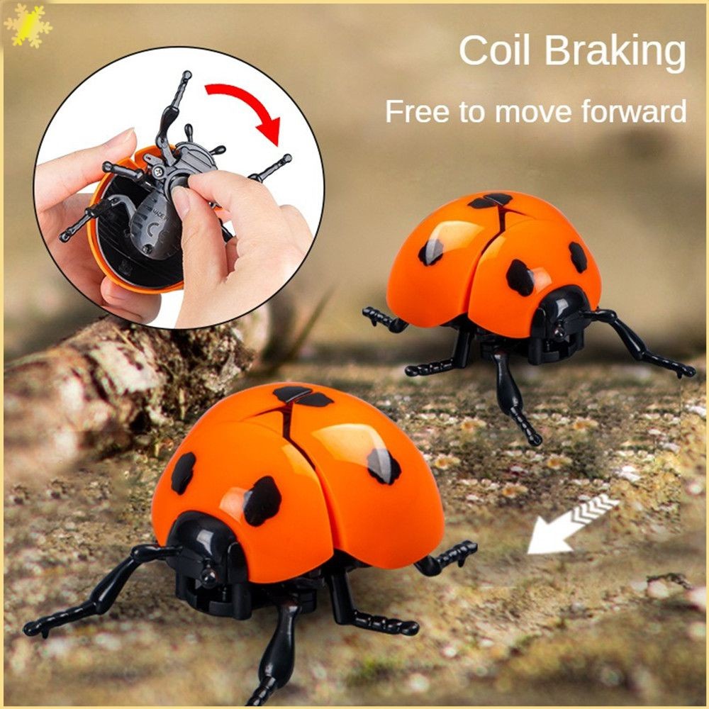 Novelty Simulation Of Beetle Model The Running Seven-spotted Ladybug ...
