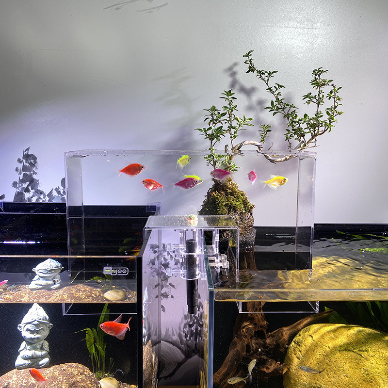 Negative Pressure Fish Tank Bracket Ecological Tank Landscaping ...