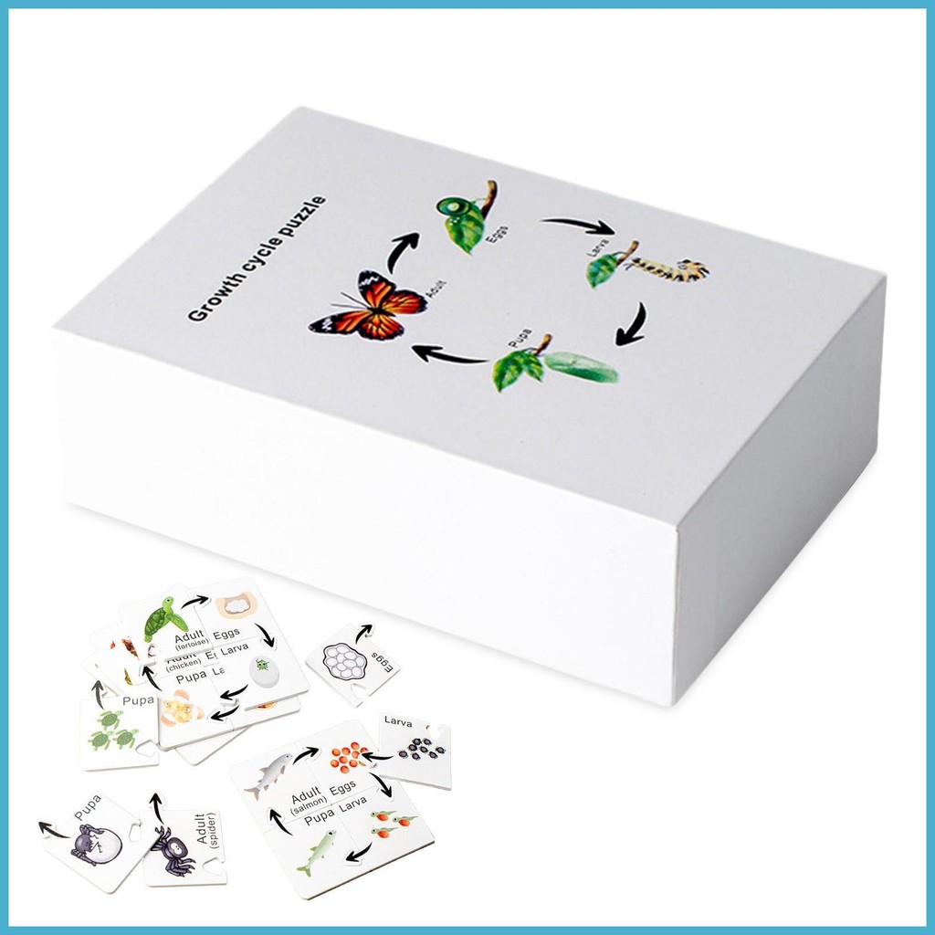 Life Cycle Puzzle Preschool Science Kit Funny Life Cycle Tray ...